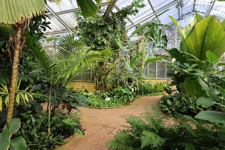 Sherman Library & Gardens: What to Expect (2024) — Orange County ...