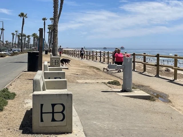 Huntington Dog Beach: What to Expect (2025) — Orange County Insiders ...
