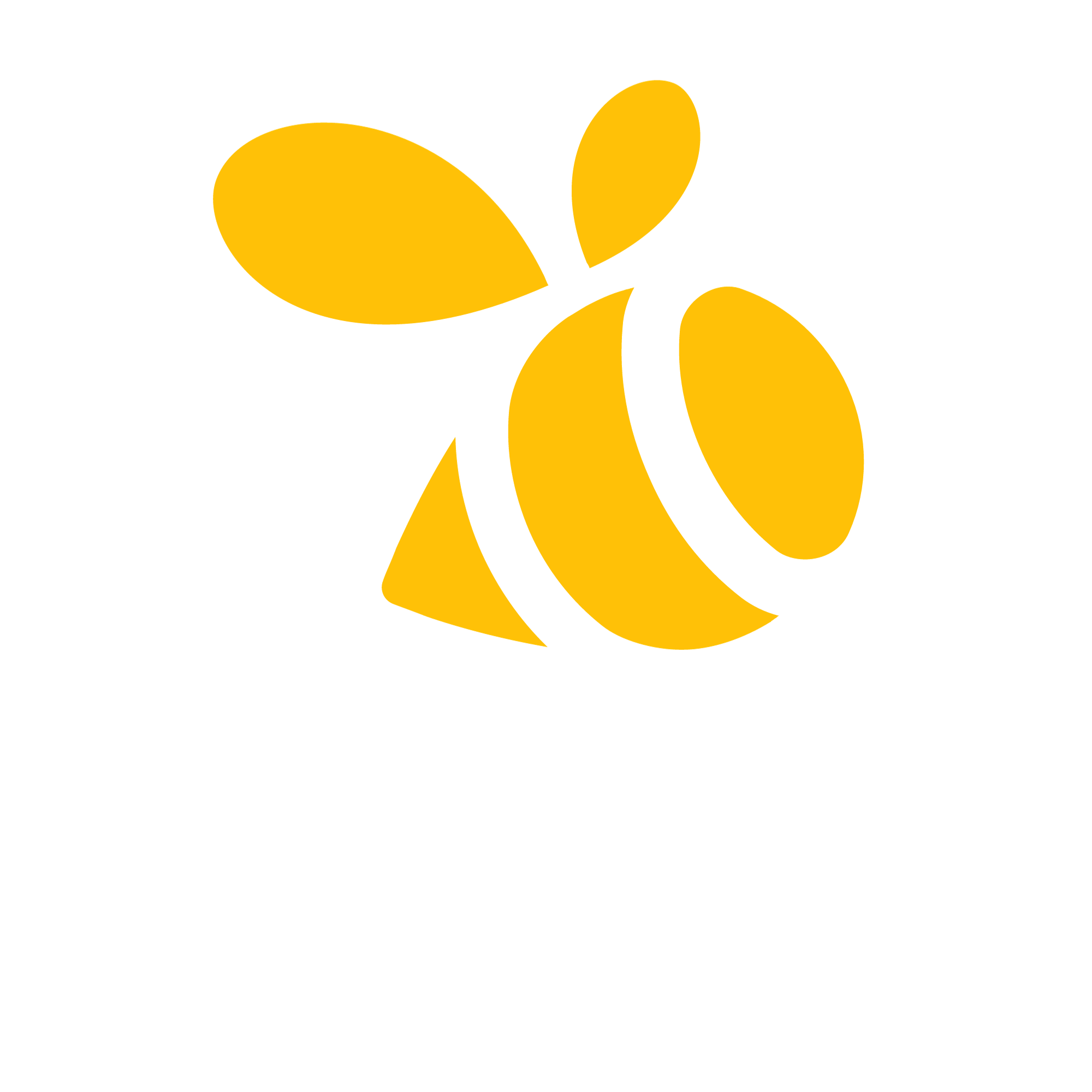 About Us — Eyeland Fest