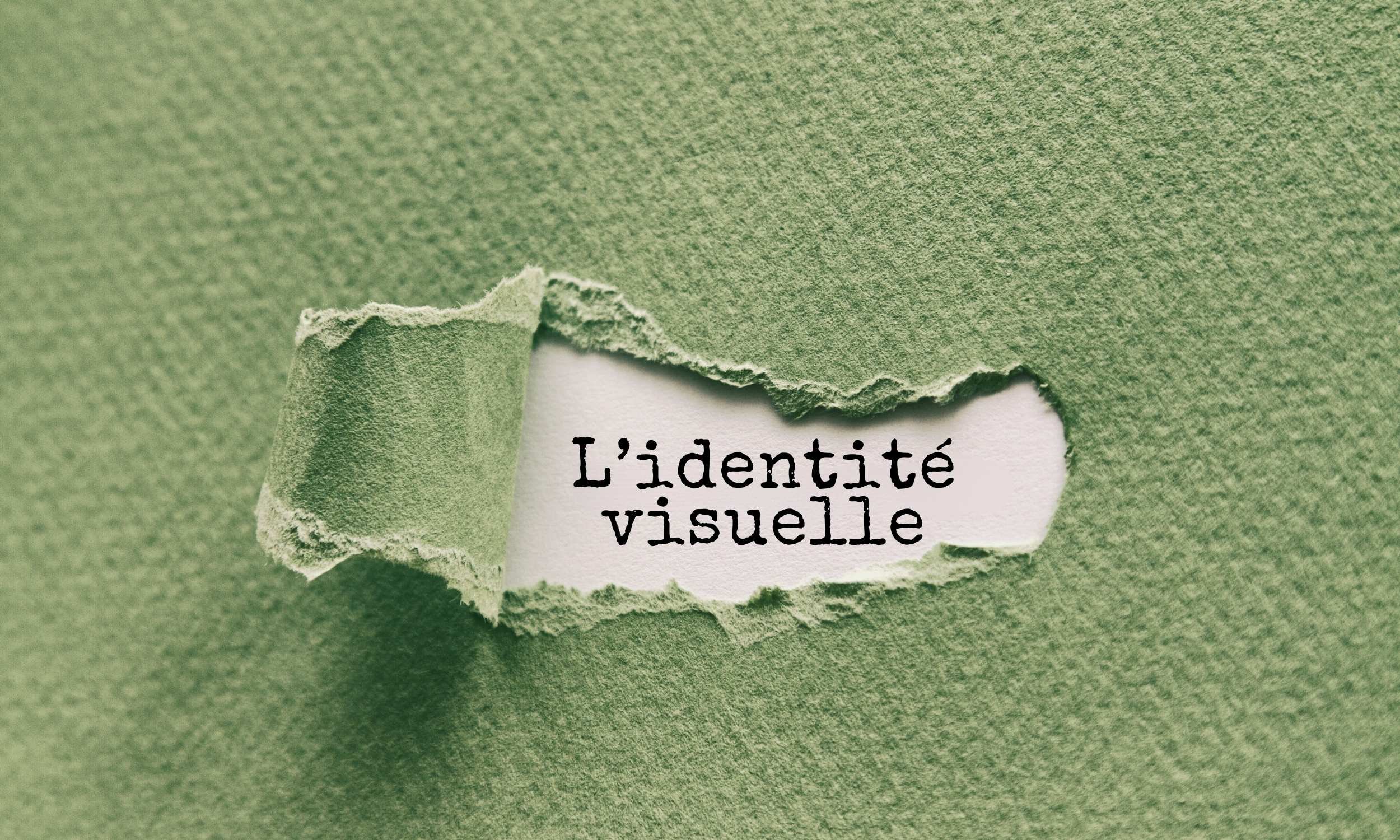 Comment créer une identité visuelle impactante pour votre entreprise — Studio Nikku | Agence de ...