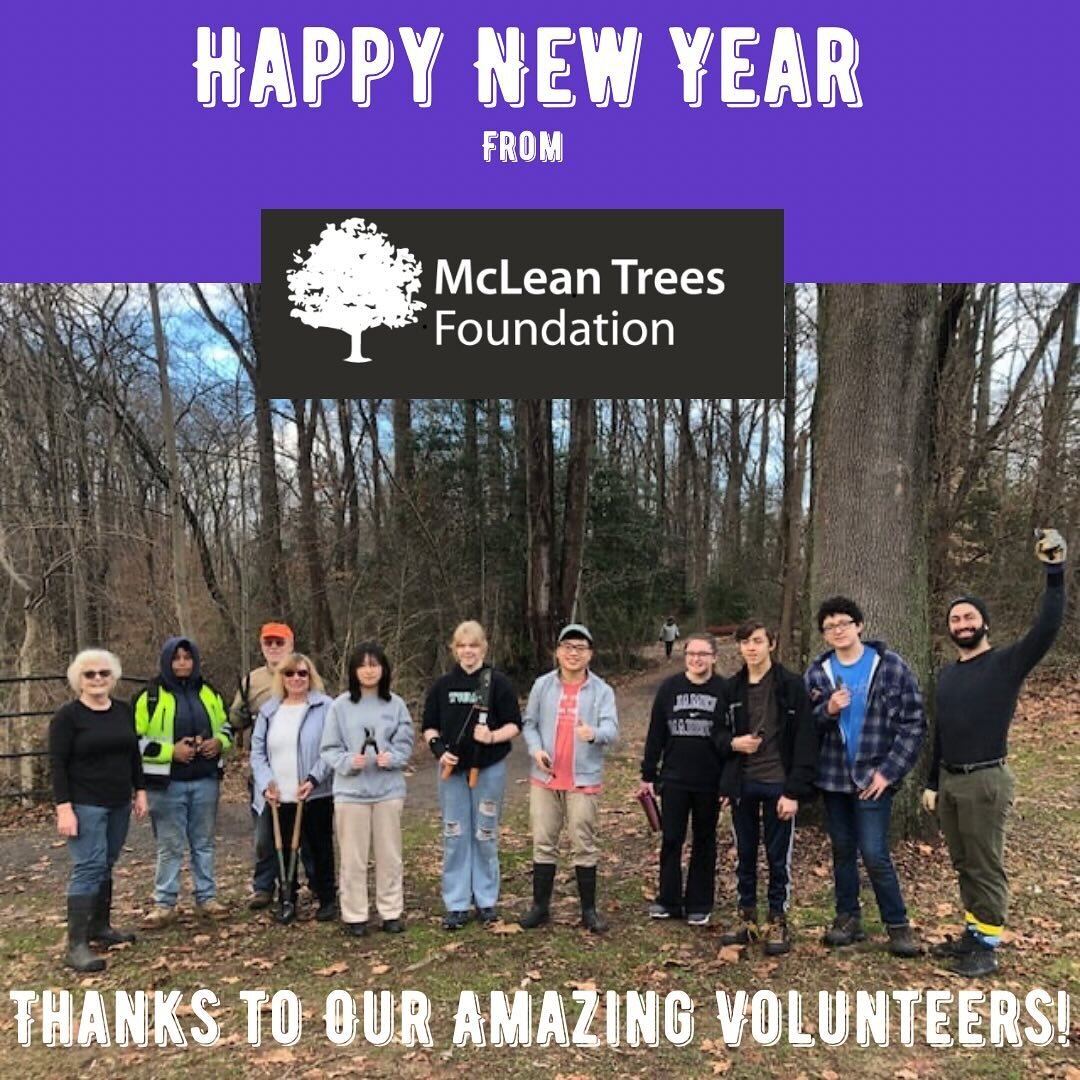 McLean Trees Foundation