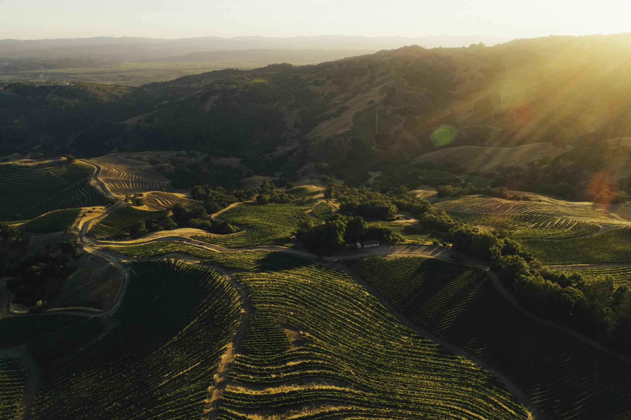 Pocket Peak AVA | Sonoma County, CA