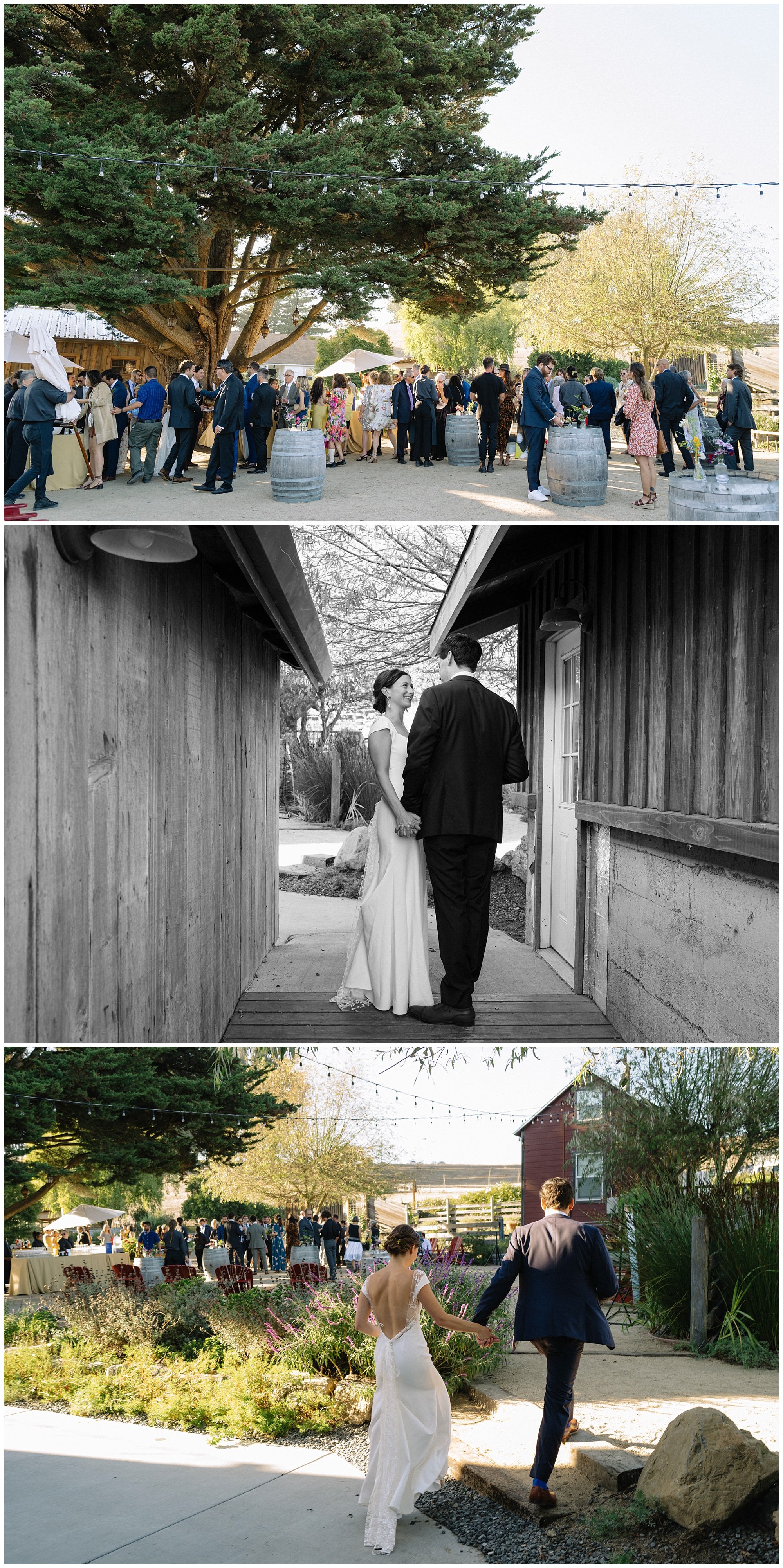 Alicia and Nick | Stemple Creek Ranch Wedding — Annie Hall Photography