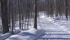 Craftsbury Outdoor Center — Craftsbury Trails