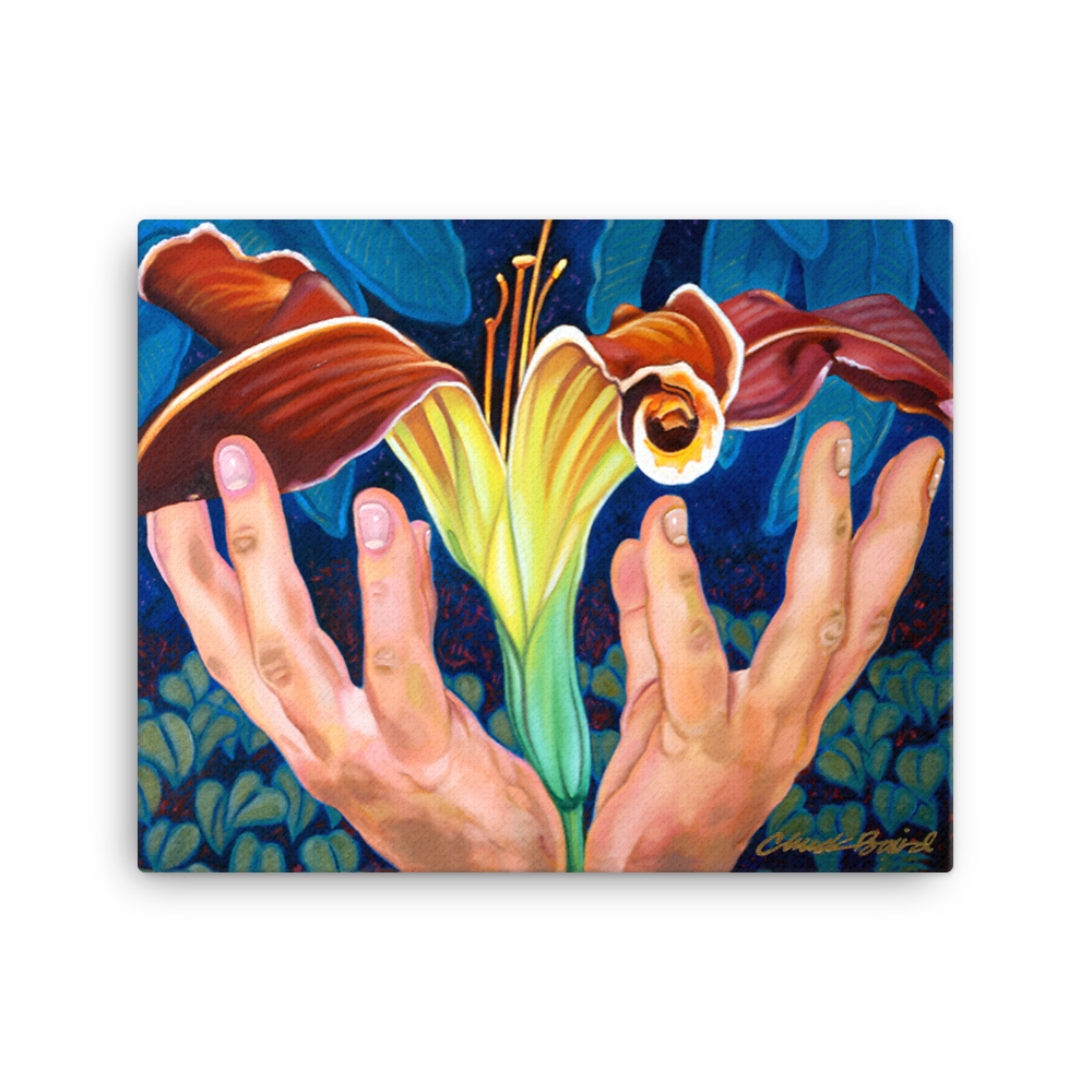 BLOOMING — Dandelion Press