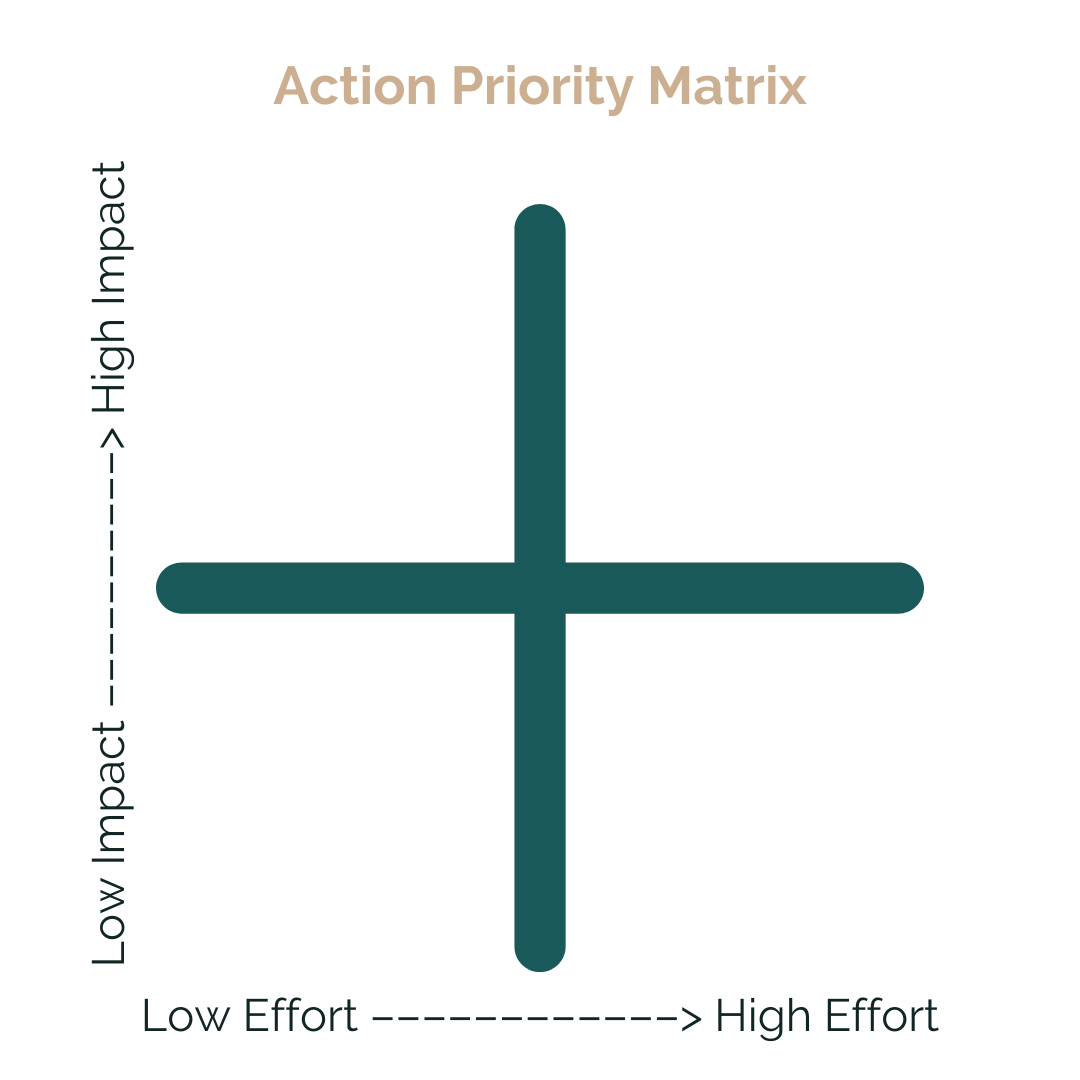 Ep 55: Project Prioritization Made Easy: How to Use the Action Priority ...