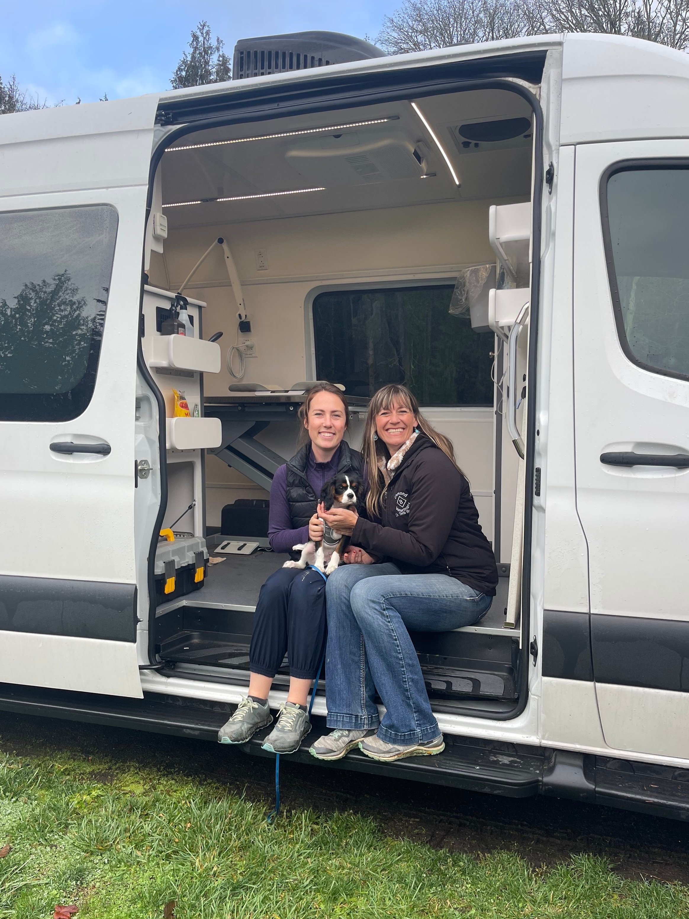 Your Mobile Veterinary Team — Diamond B Veterinary