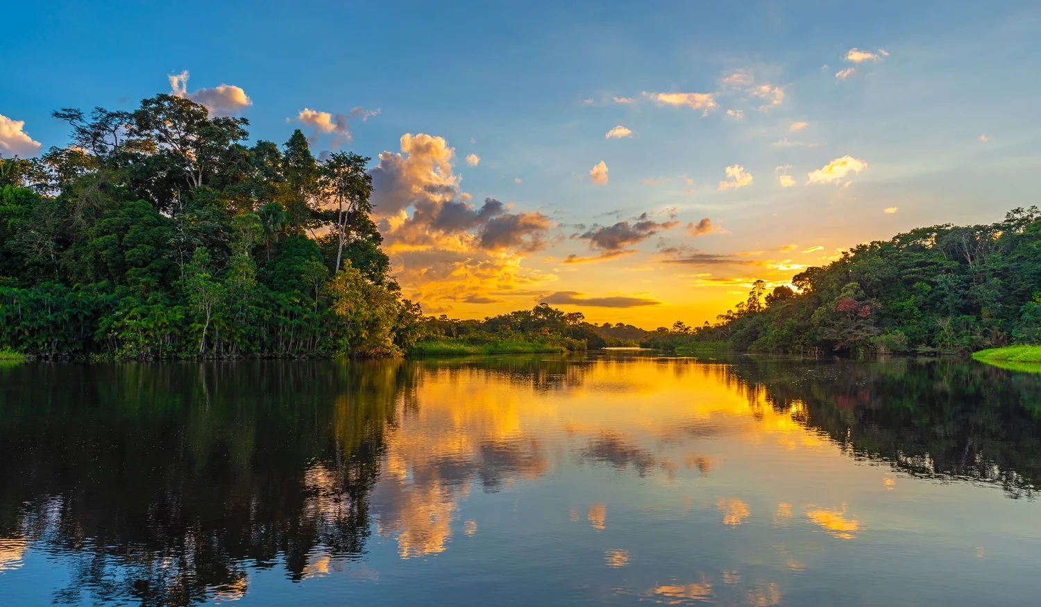 Exi-Plast Custom Moulding Ltd.