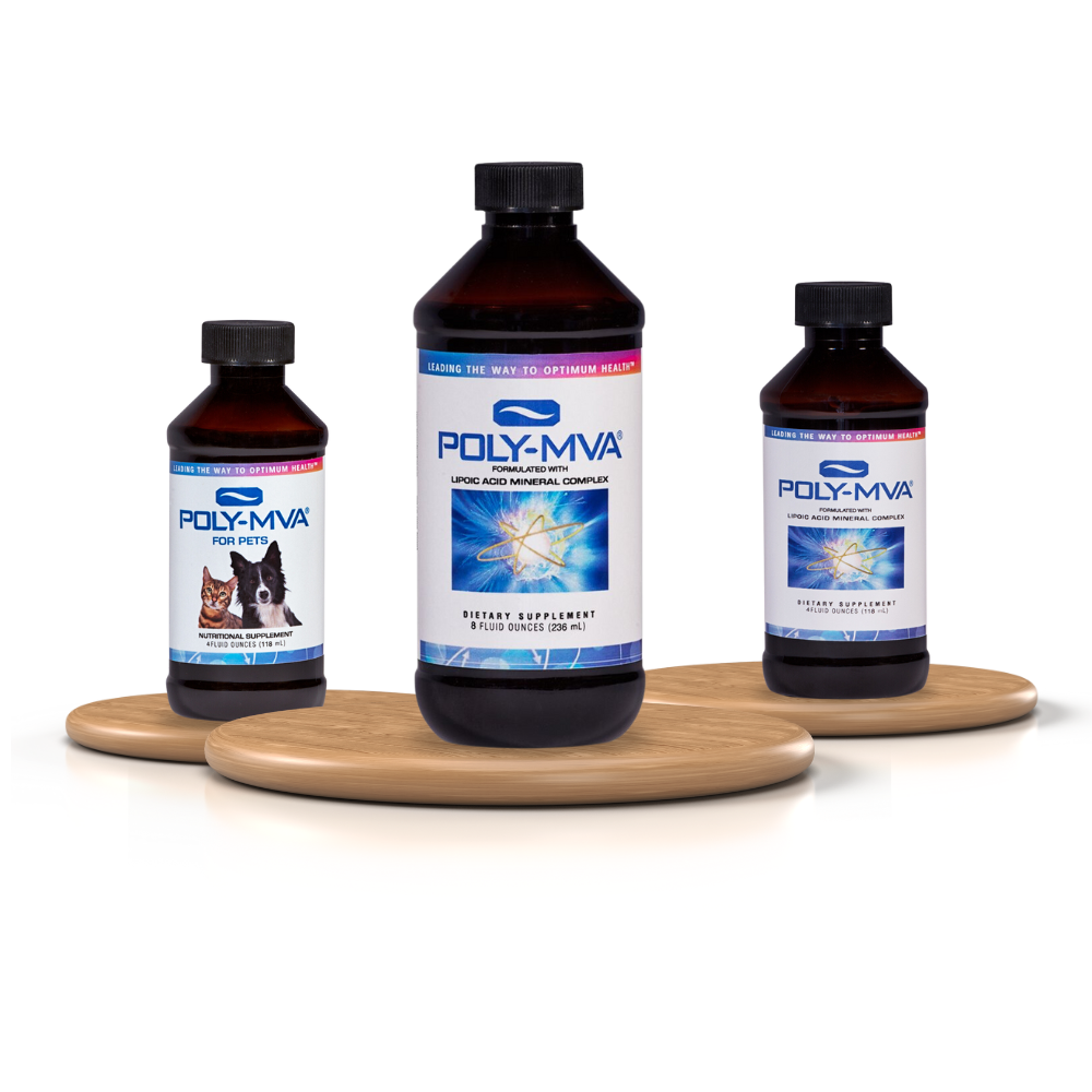 Discover Our Featured Product - Elevate Your Experience at Polymva ...