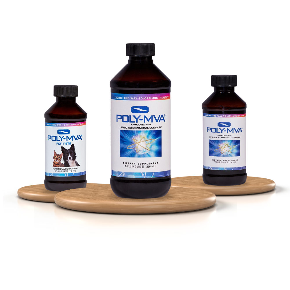 Discover Our Featured Product - Elevate Your Experience at Polymva.store | Polymva.store