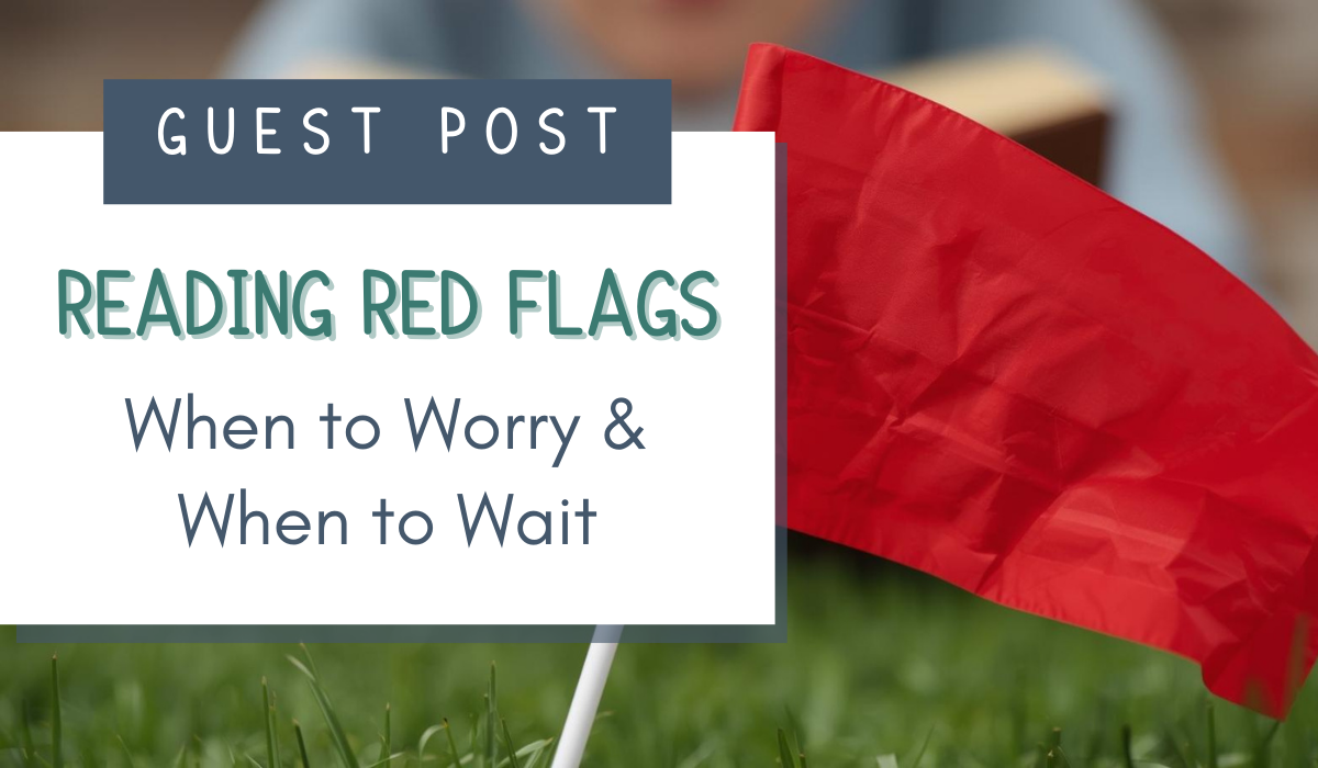 Reading Red Flags in Homeschooling: When to Worry About Your Child's ...
