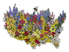 National Native Bee Monitoring Network