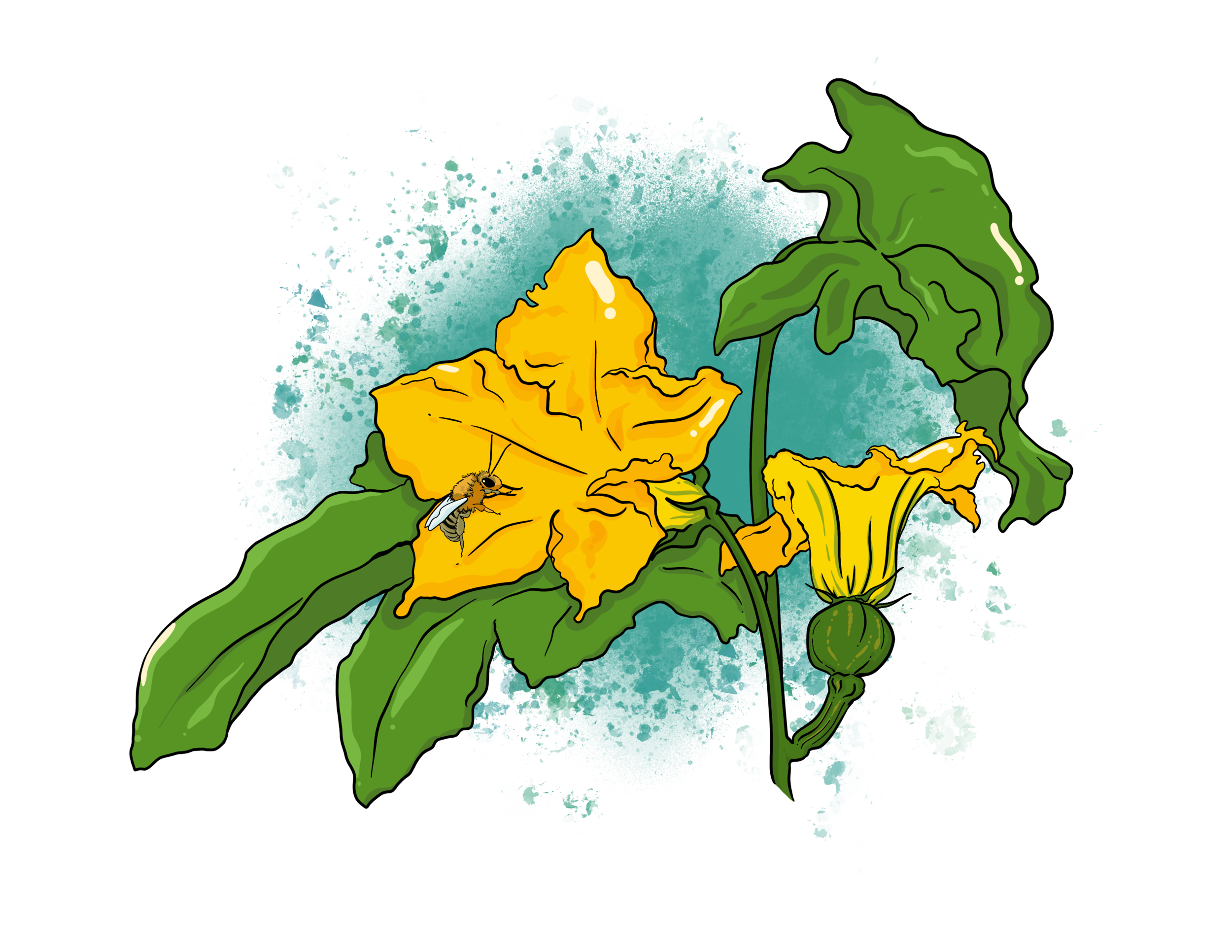 National Native Bee Monitoring Network