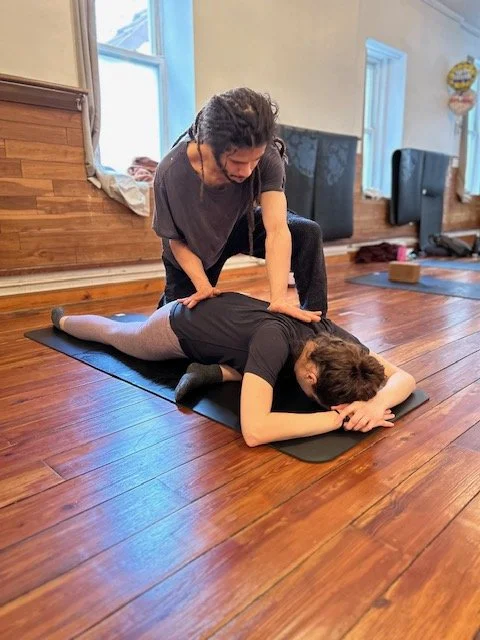 About SLY's 200hr RYT Program — Spirit Lab