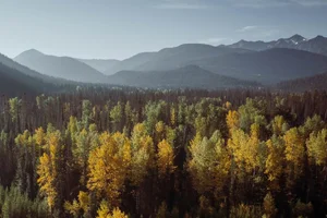 WINTERFELL — OPENSPACE ARCHITECTURE