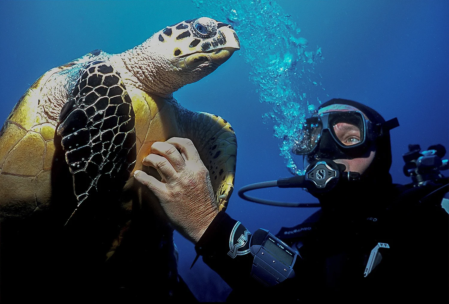 Worldwide Diving Specialist based in North Palm Beach, Florida