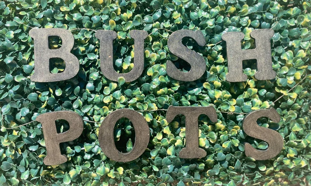 Bush Pots
