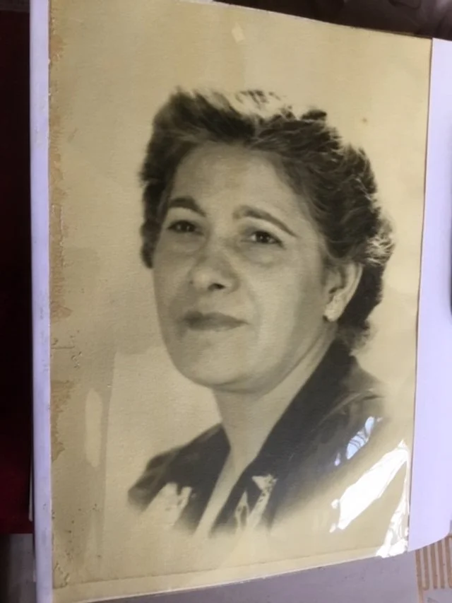 Our Roots — The Nader Family