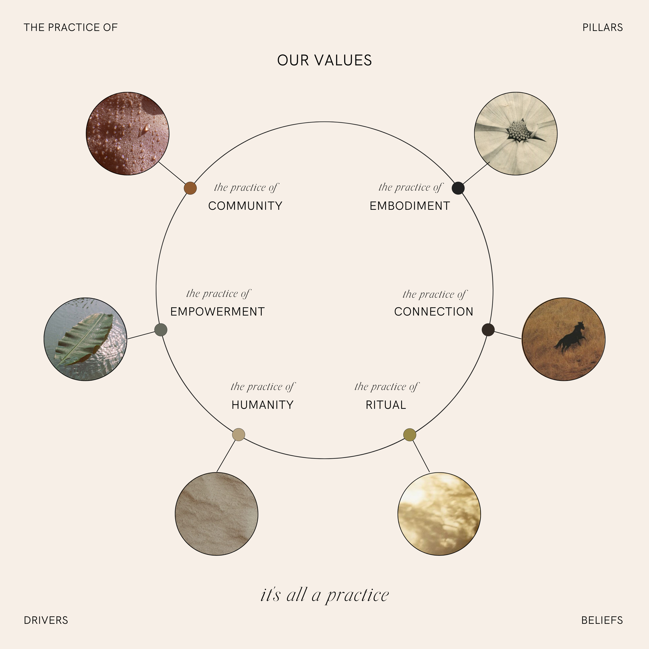 OUR VALUES — The Practice Of