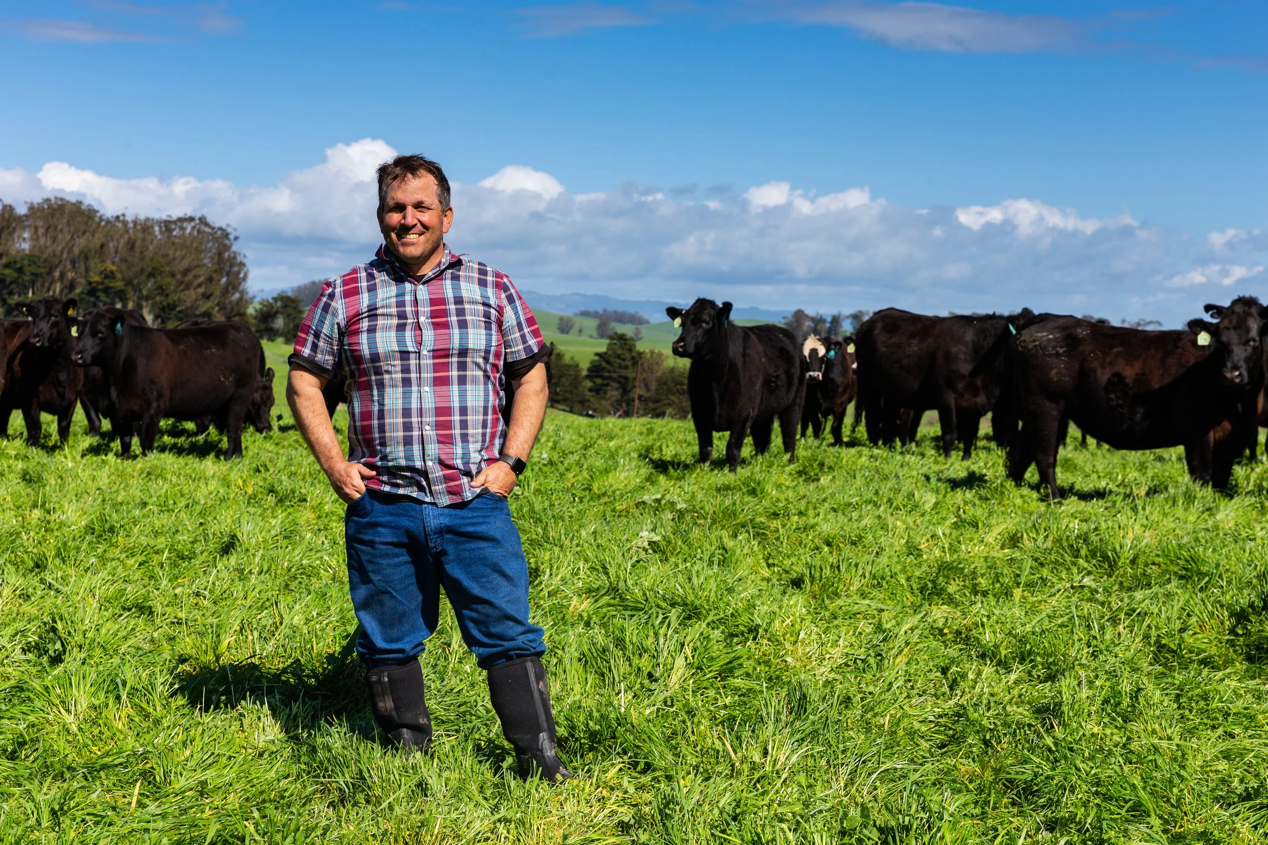 At Stemple Creek Ranch, It’s All About the Soil — The Source