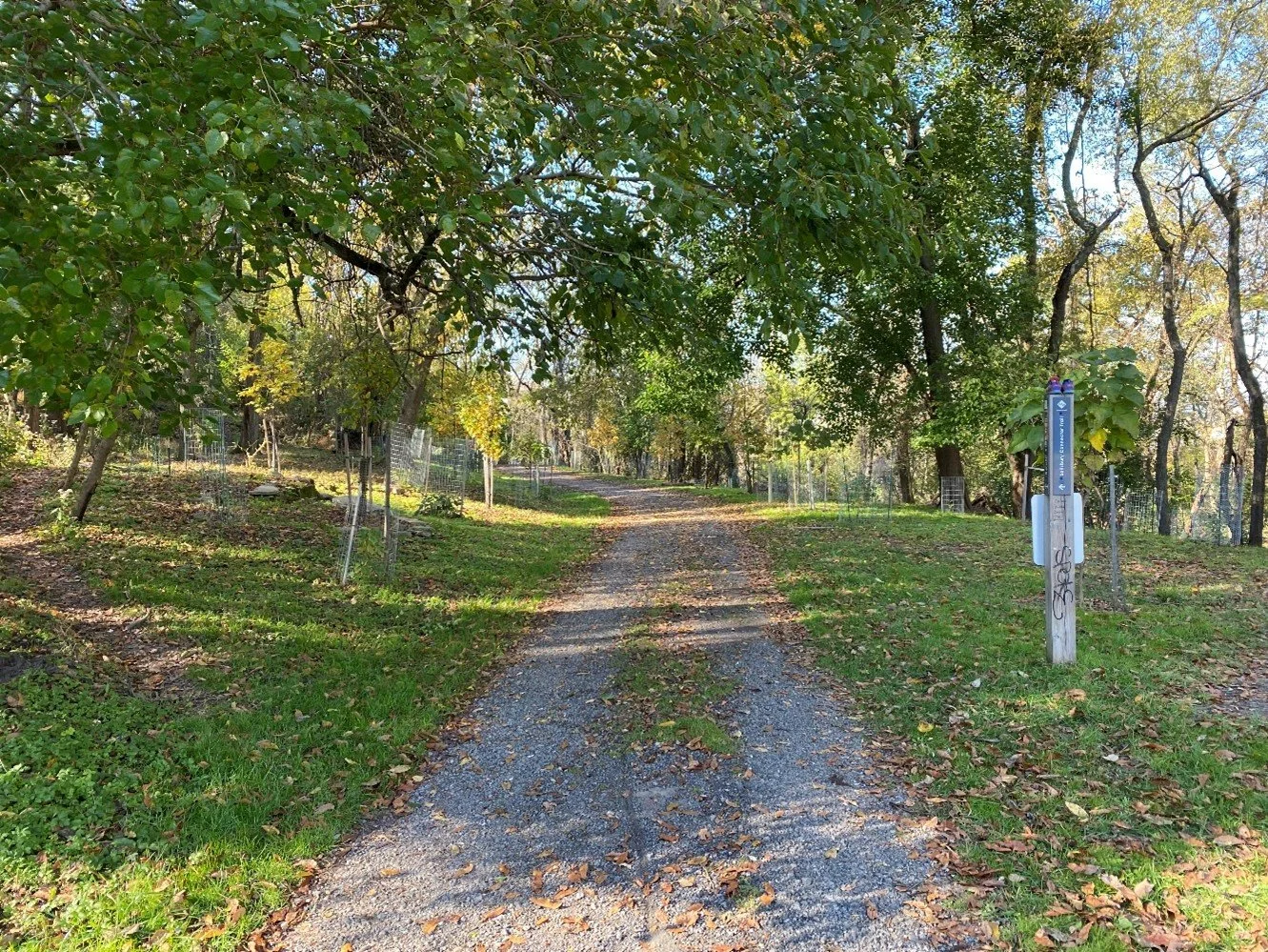 Our Progress — Friends of South Side Park