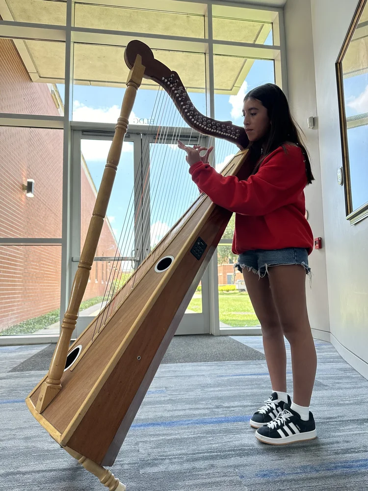 Houston Summer Harp Festival