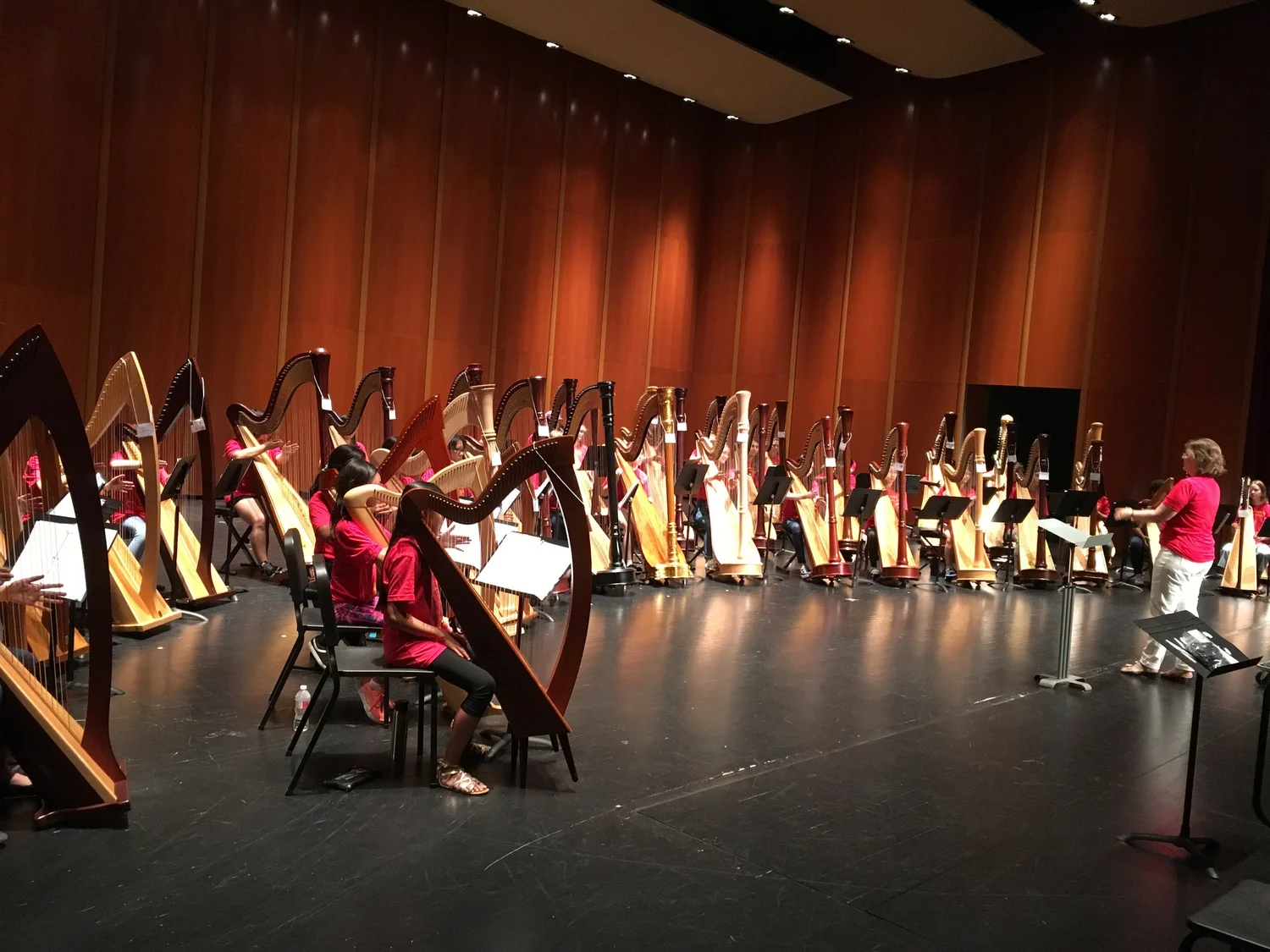 Houston Summer Harp Festival