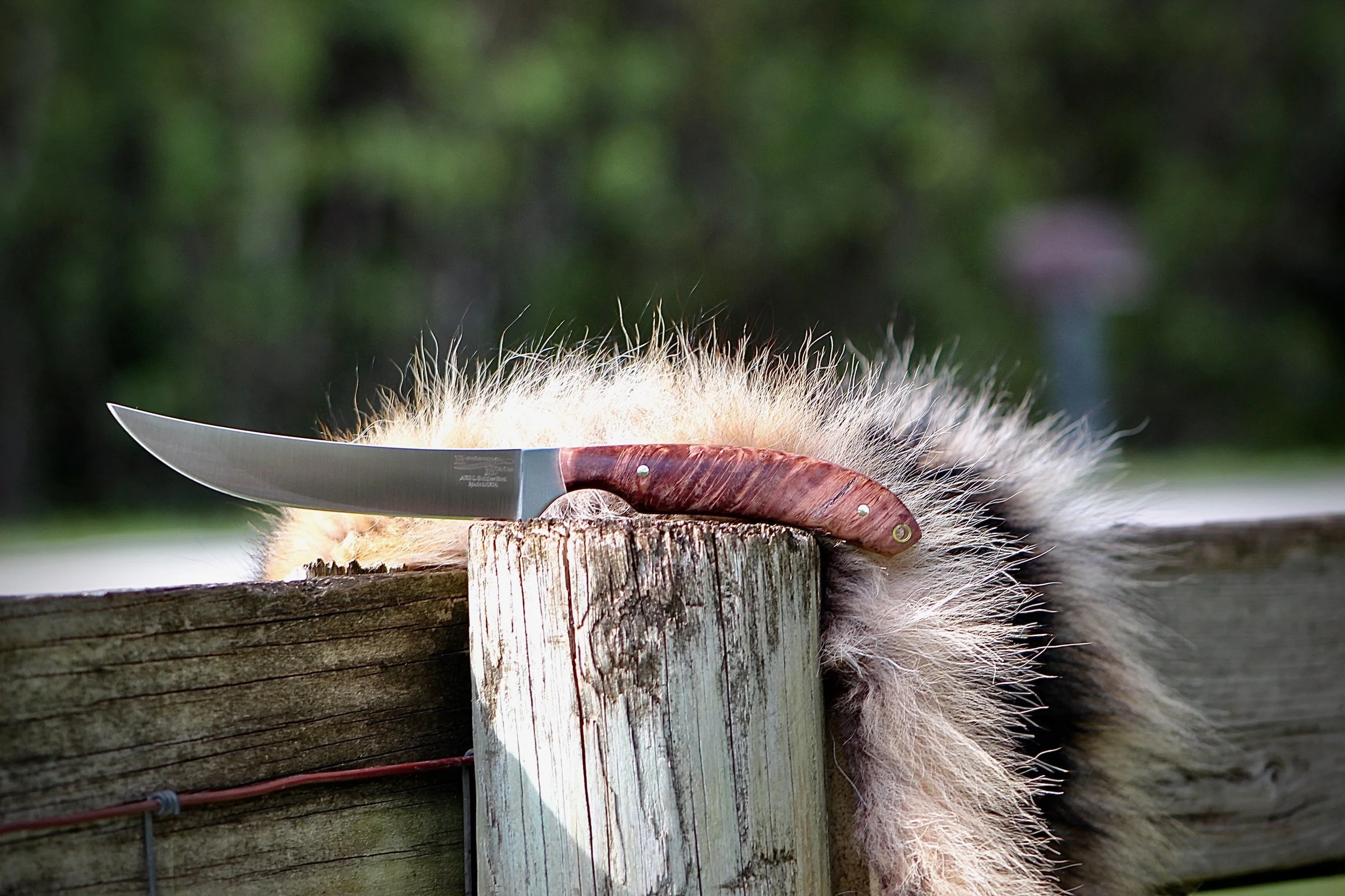 Storefront — BORDERTOWN BLADES