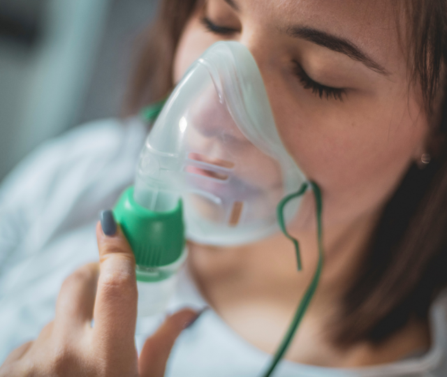 Services 2 — Rollins International Pvt. Ltd.