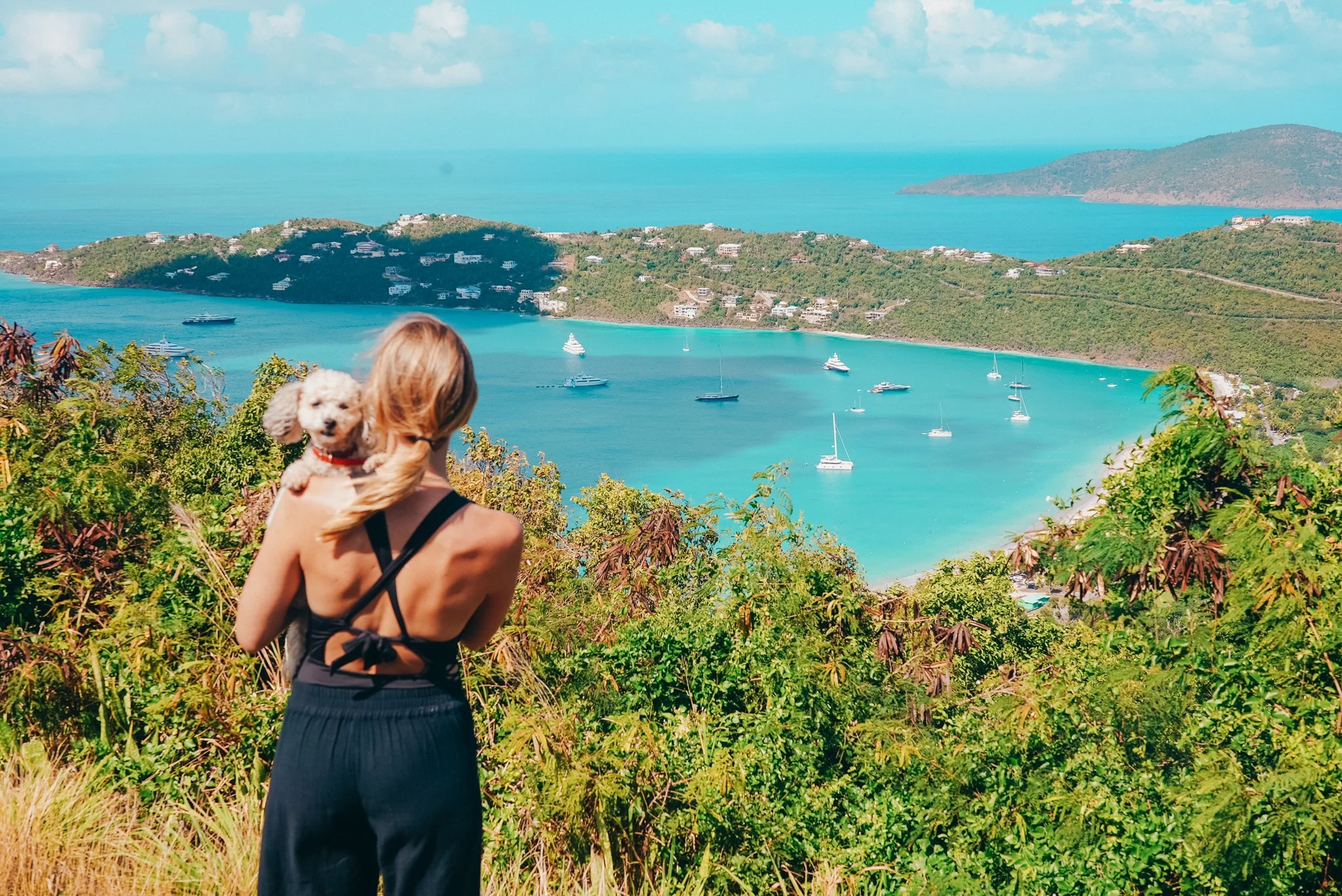 2 week USVI Itinerary (with our dog) — Tim and Fin