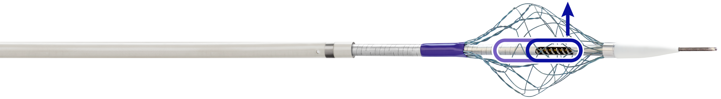 Pounce™ Venous Thrombectomy System — Pounce™ Venous Thrombectomy System