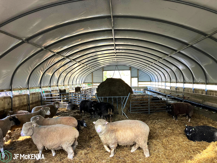 Livestock Polytunnels — JFM Home Site