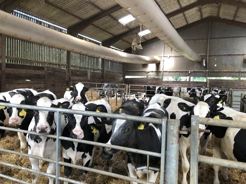 Calf Ventilation | Discover Jobs — Apply Today — JFM Home Site