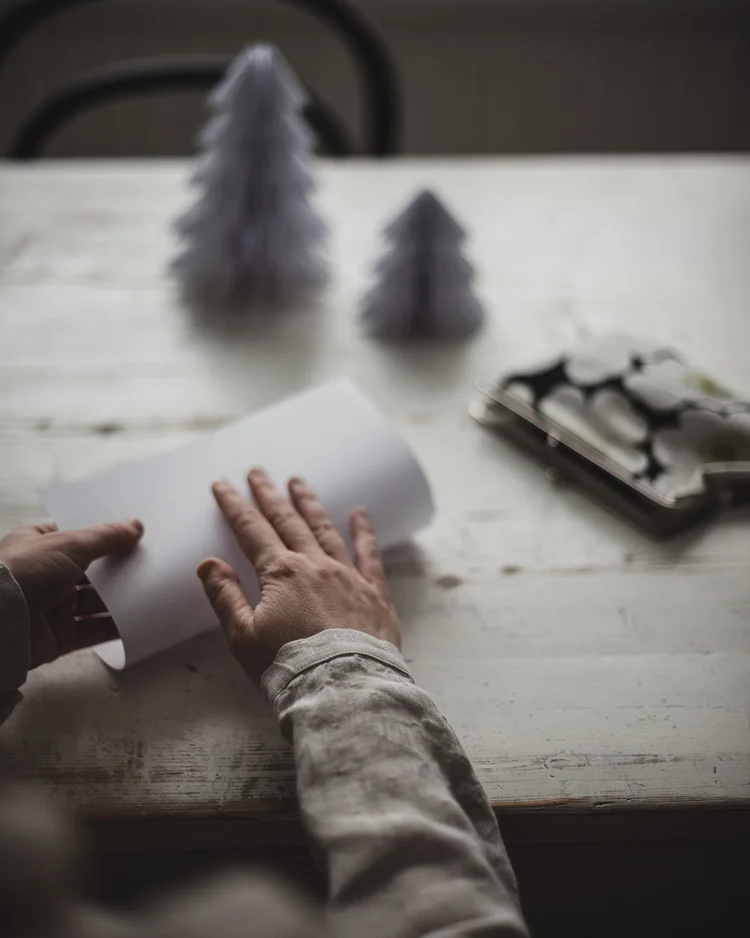 Paper trees — Nordic Stories