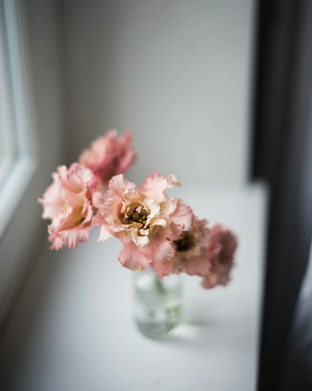 Capture stunning flower photos — Nordic Stories