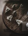 Paper trees — Nordic Stories
