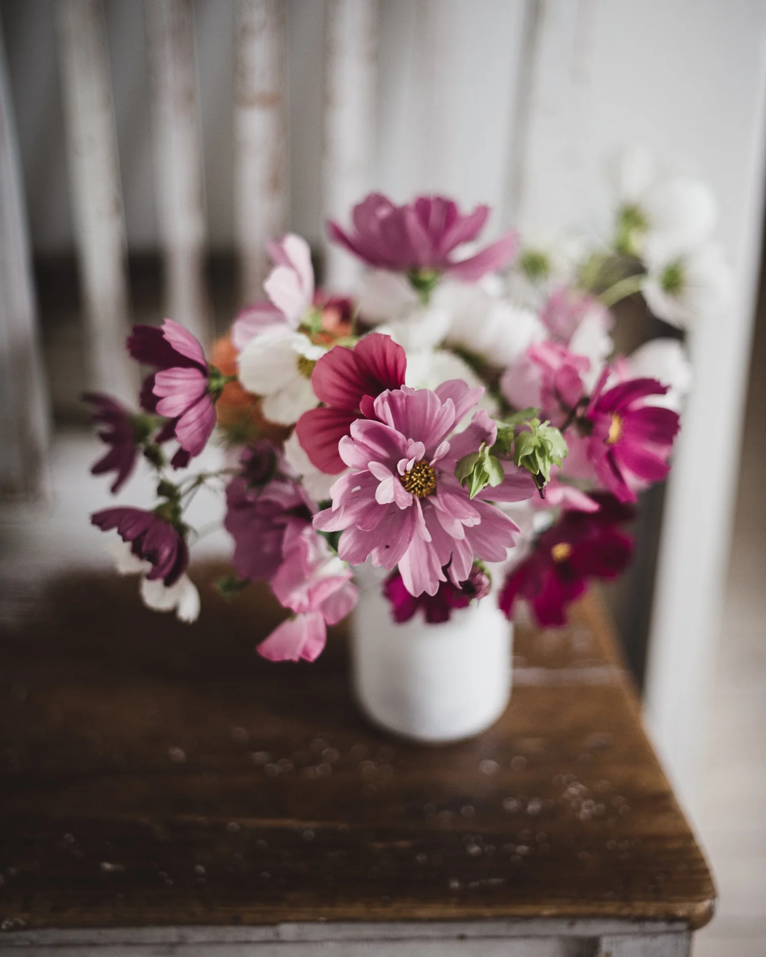 Capture stunning flower photos — Nordic Stories