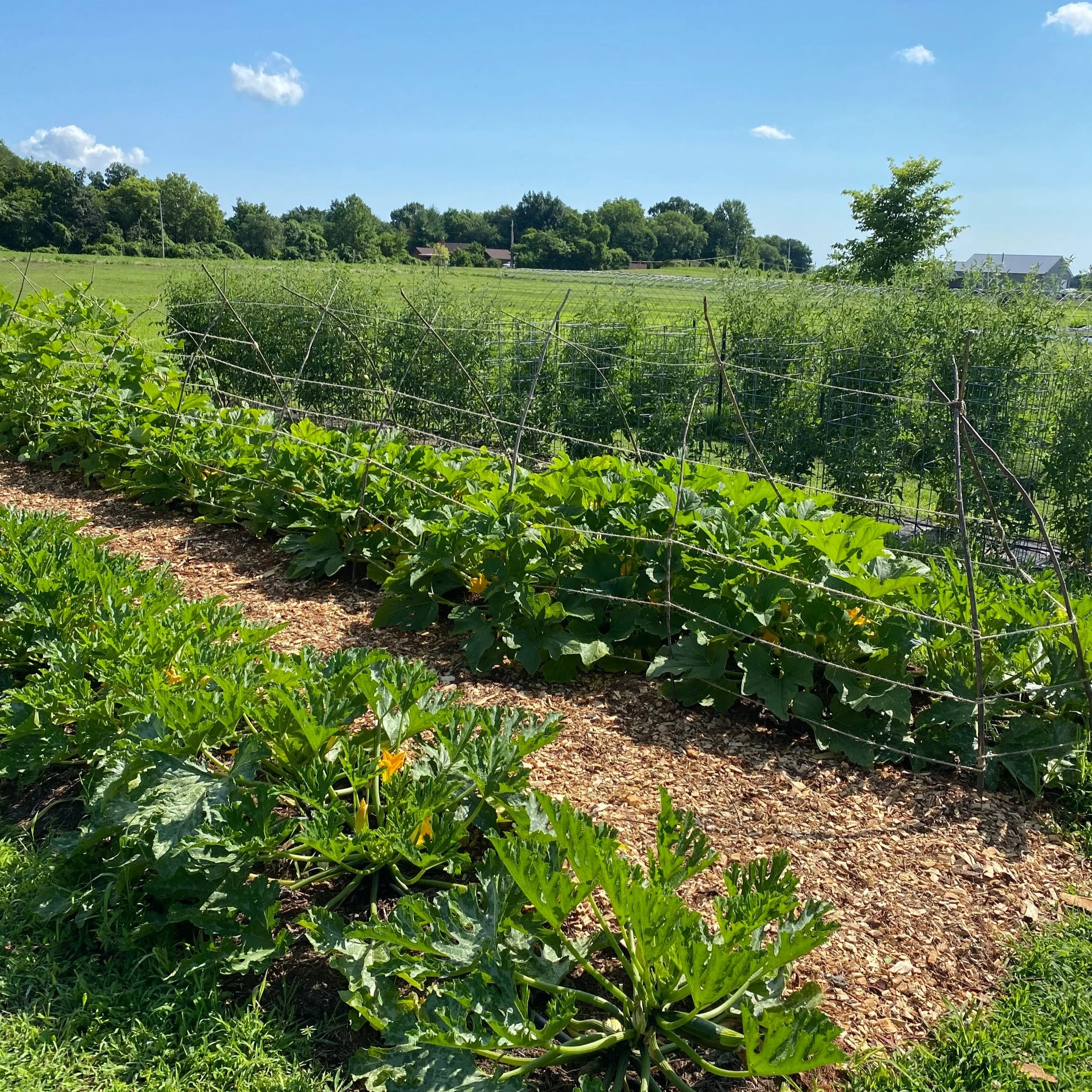 About 5 — Elysian Sanctuary Farm LLC | Belleville, IL | Seasonal ...