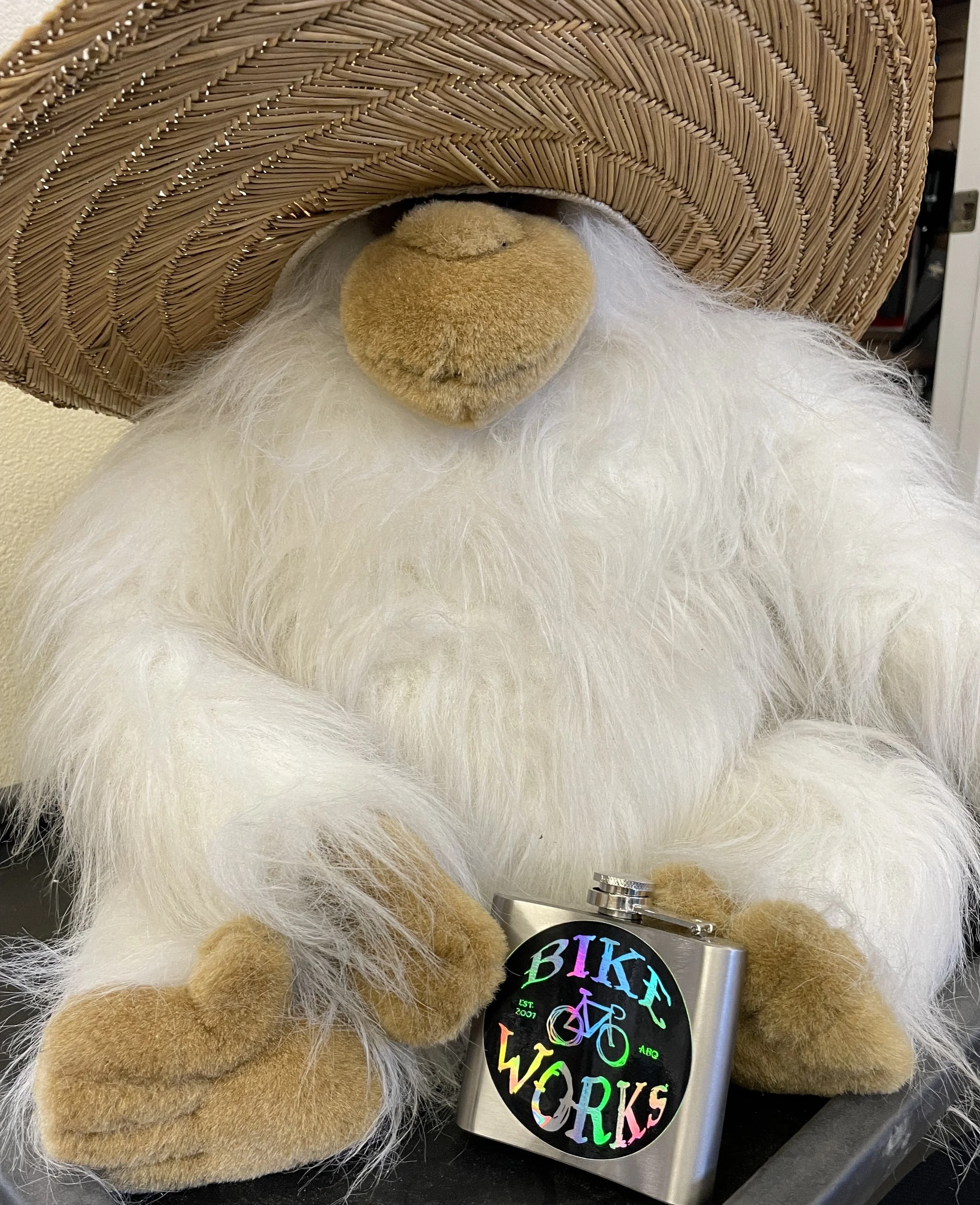 Store — bikeworksABQ