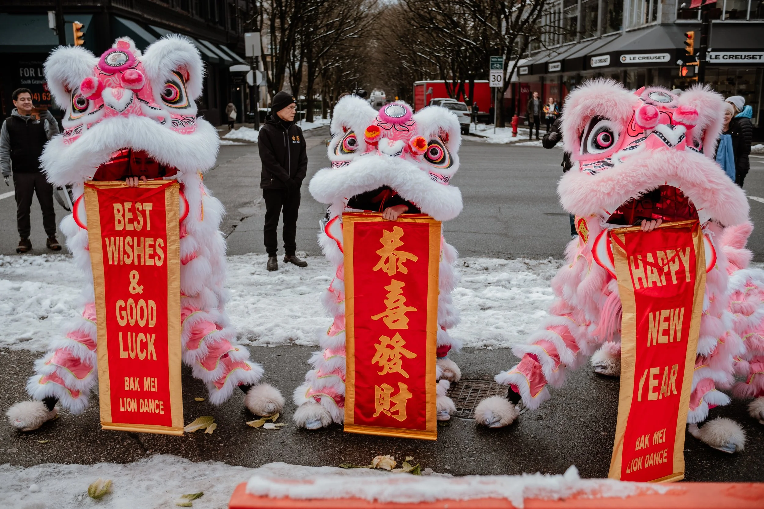 Celebrate the Lunar New Year of the Horse — South Granville BIA