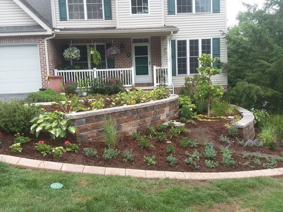 Nature's Fortress: Harmonizing Plantings and Retaining Walls in Lower ...