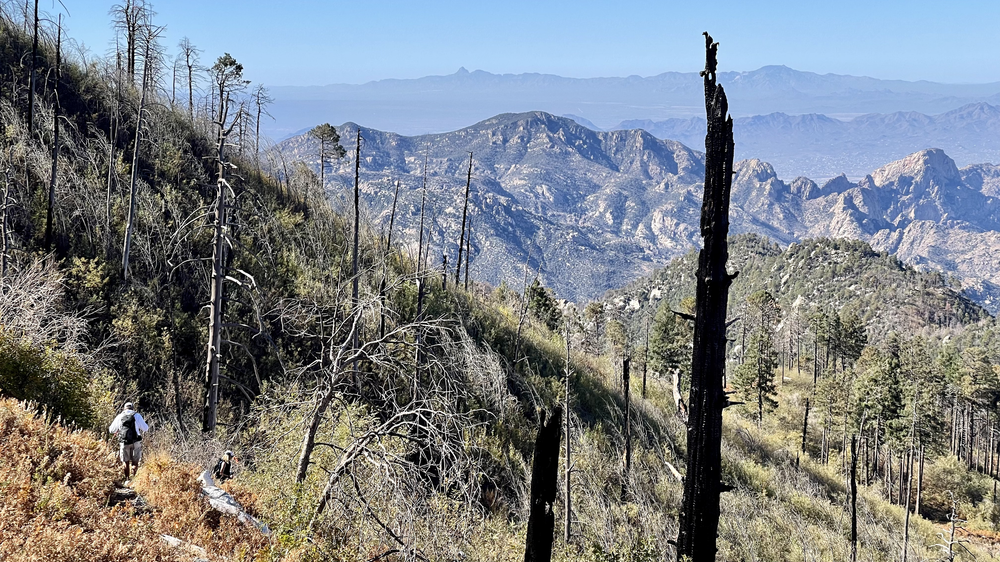 Arizona Monster 300 — Destination Trail