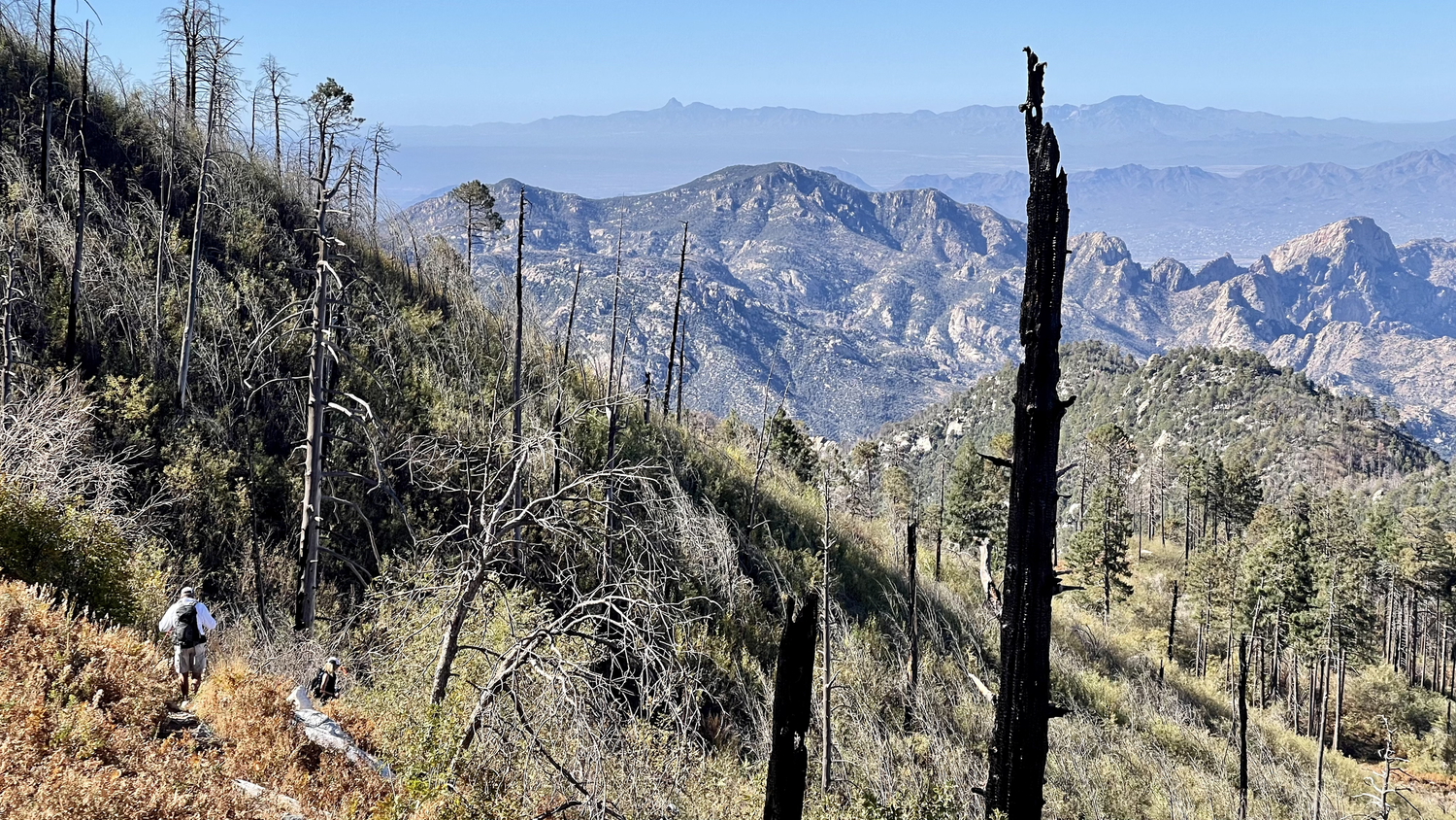 Arizona Monster 300 — Destination Trail