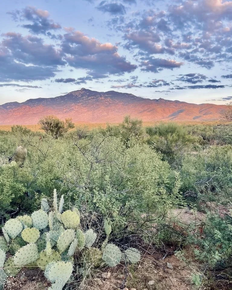 Arizona Monster 300 — Destination Trail
