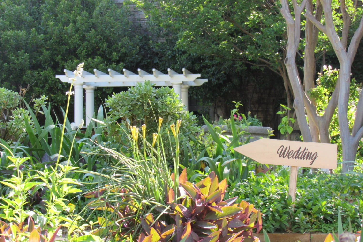 Courtyard and Grounds — Southside Preservation Hall