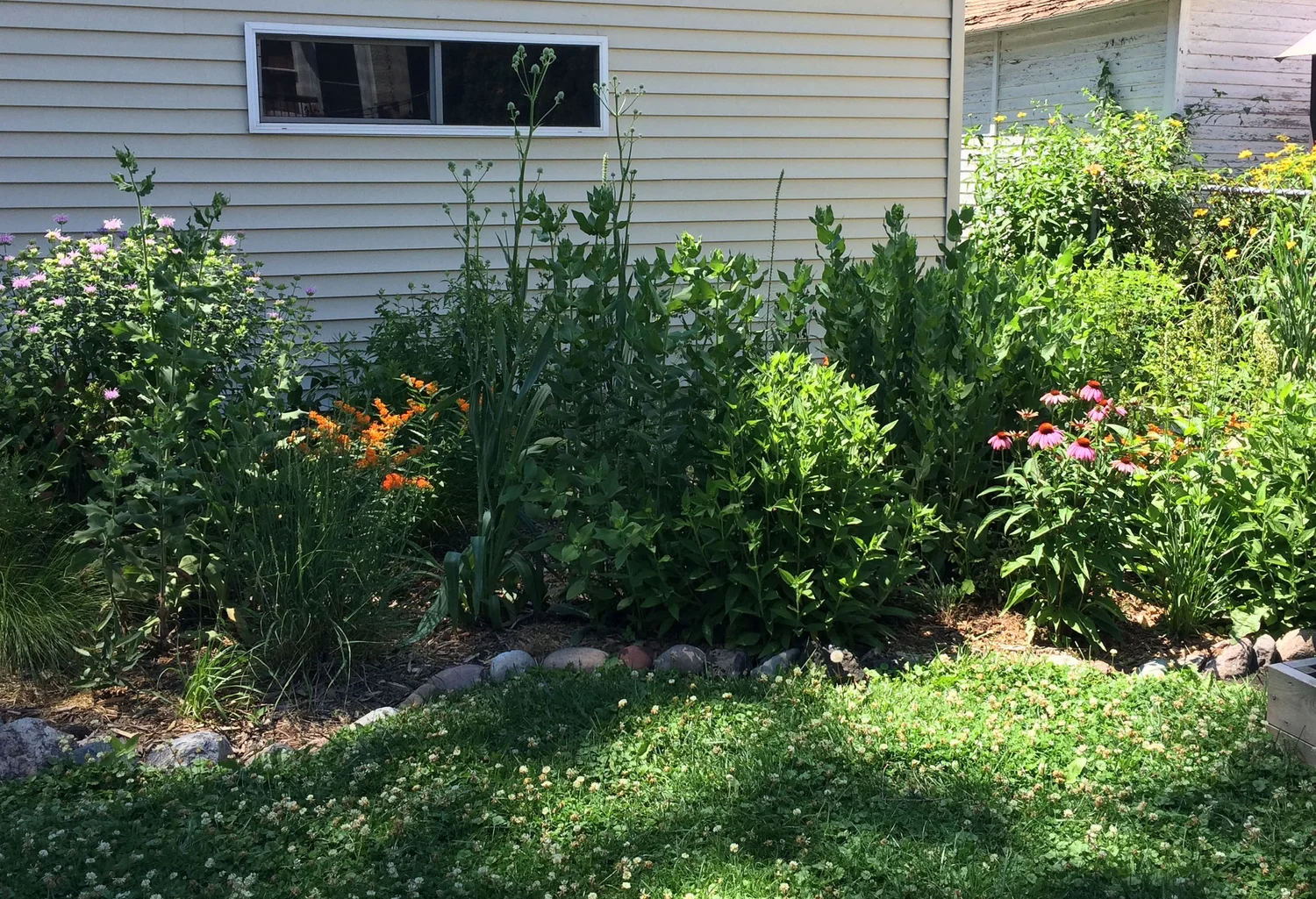 How to Convert (Part of) Your Lawn to Native Prairie — Christy Webber ...