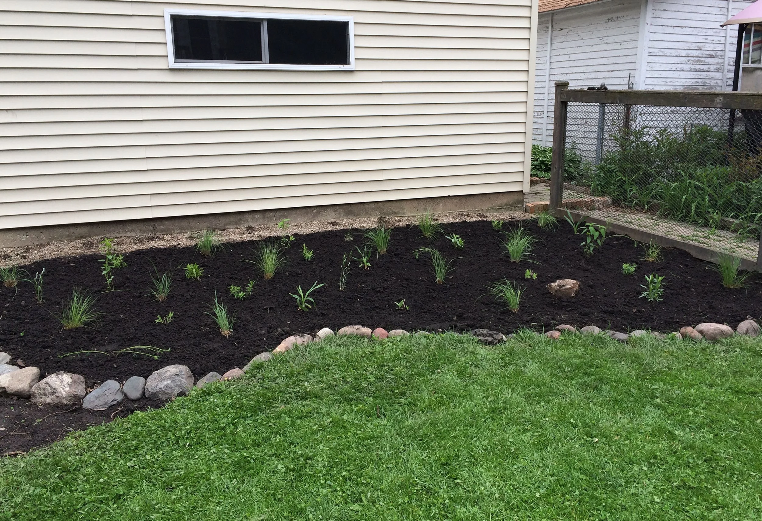 How to Convert (Part of) Your Lawn to Native Prairie — Christy Webber ...