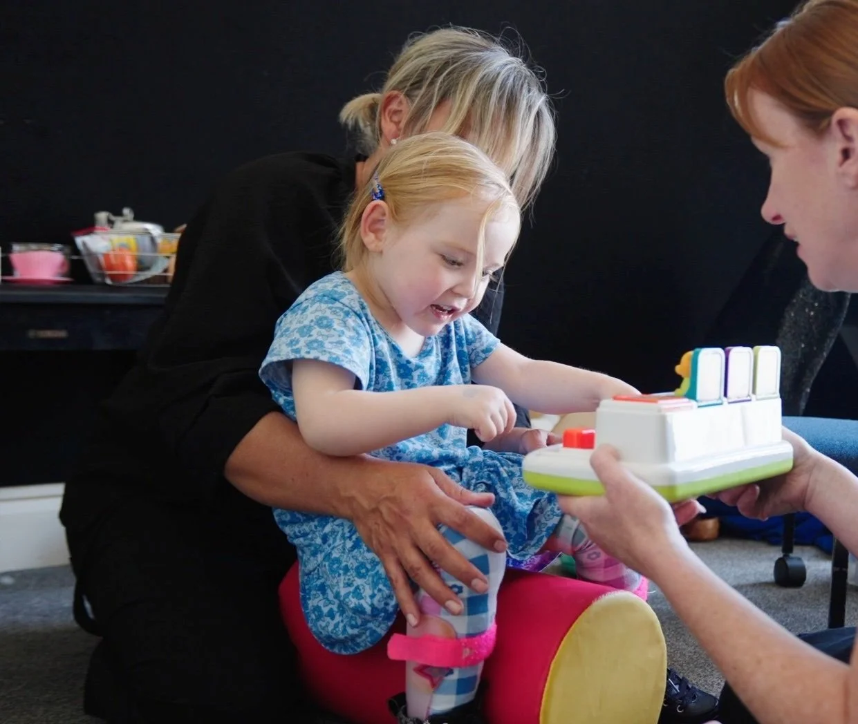 Services 1 — The Pudney Hub - Hawkes Bay Early Intervention Trust