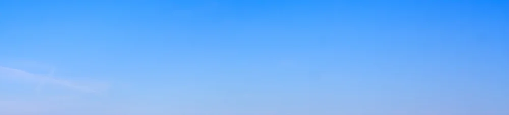 Focus Consulting Group