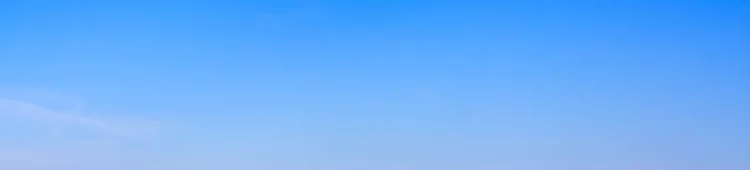 Focus Consulting Group